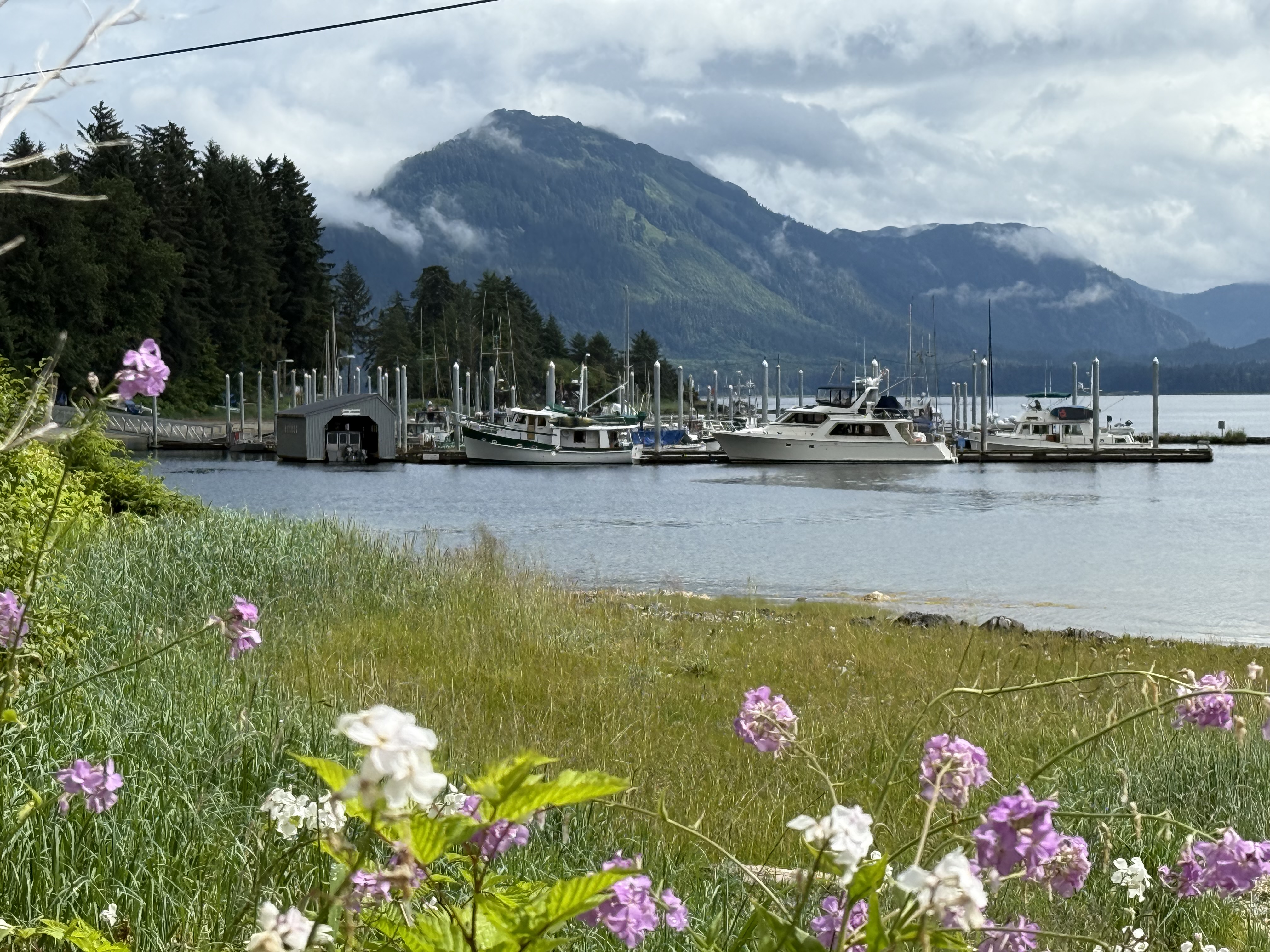 Tenakee Springs – Edging Forward